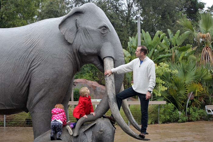 FakeElephants-2 - Everyday Reading