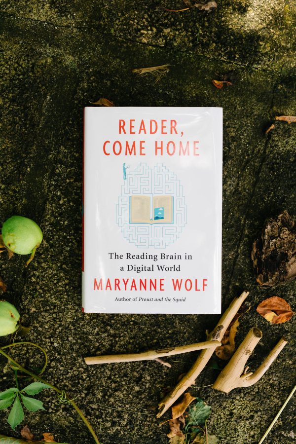 7 Delightful Non-Fiction Books about Books and Reading - Everyday Reading