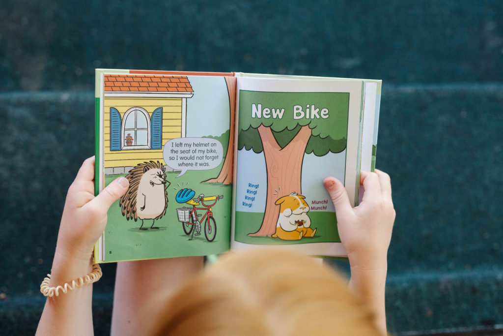 20+ Excellent Beginner Chapter Books - Everyday Reading