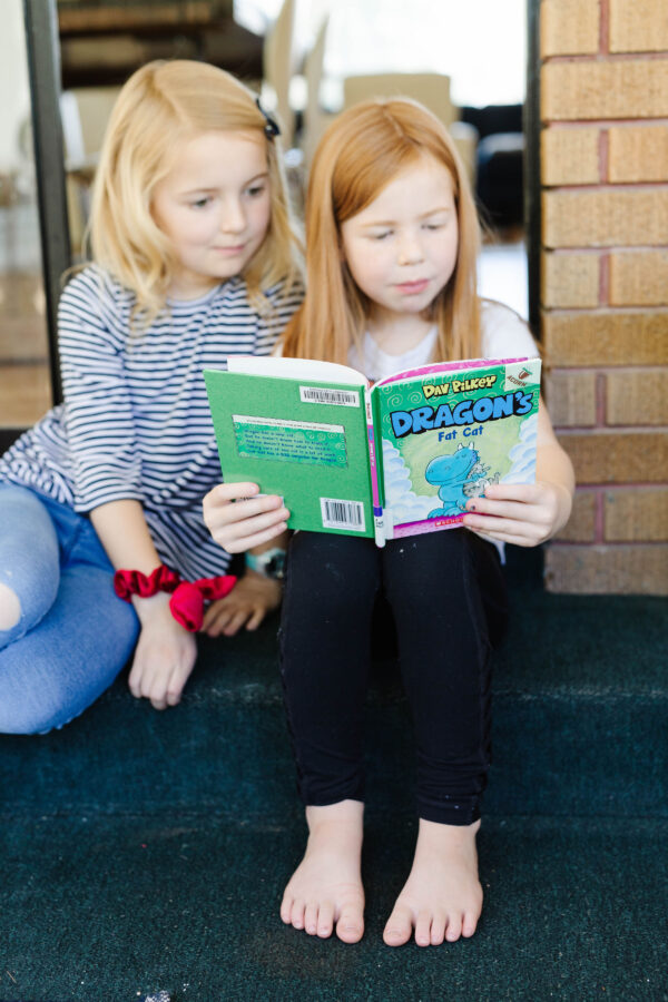 12 FAQs about Savvy Reading & Savvy Math - Everyday Reading