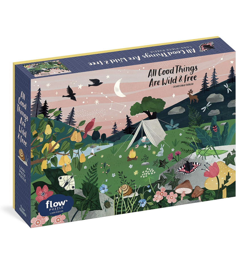 Flow Puzzles - Everyday Reading