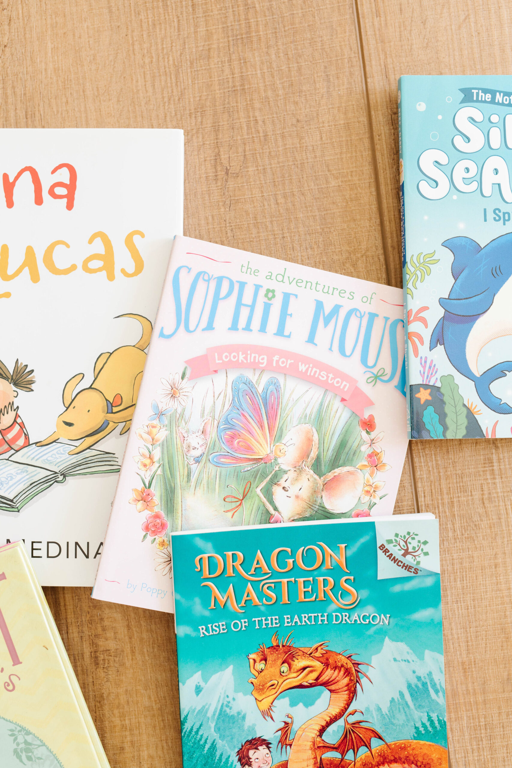 best chapter books to introduce reading aloud - Everyday Reading