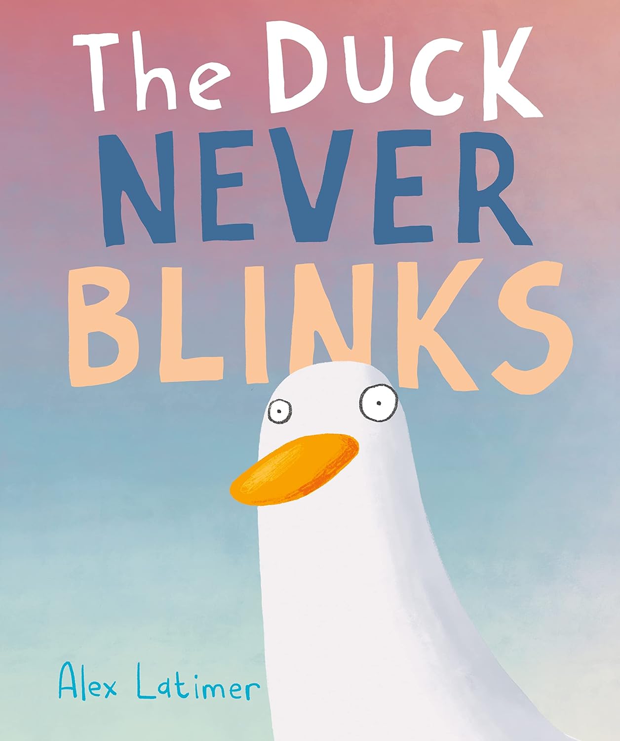 the duck never blinks - Everyday Reading