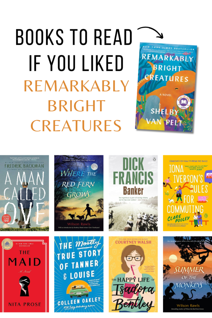 Books to Read If You Liked Remarkably Bright Creatures - Everyday Reading