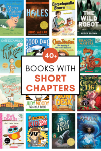 40+ Books With Short Chapters - Everyday Reading