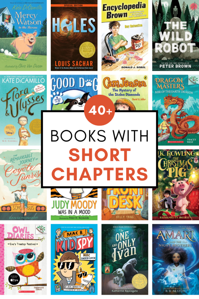 40+ Books With Short Chapters - Everyday Reading