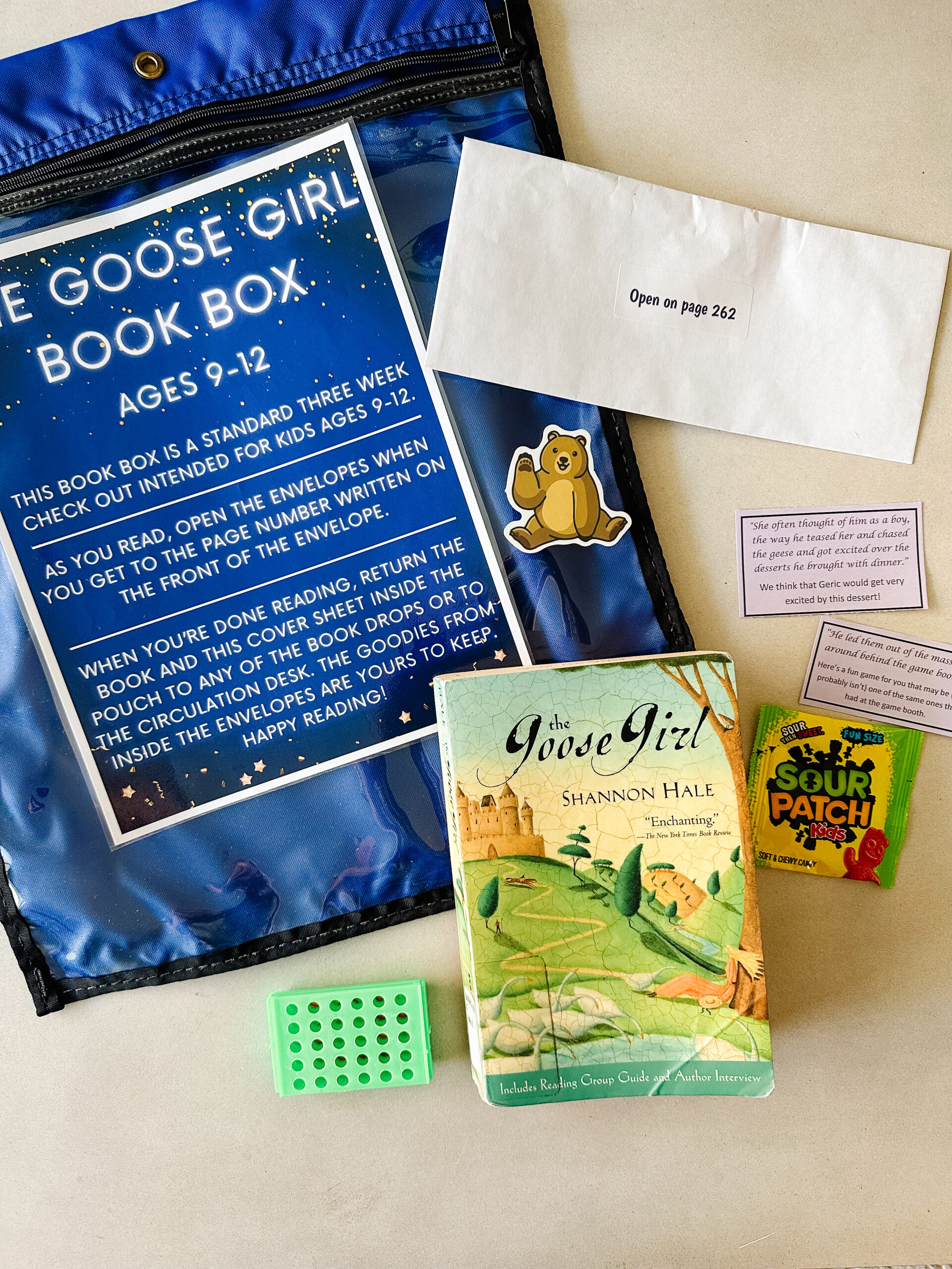 The-Goose-Girl-Book-Box - Everyday Reading
